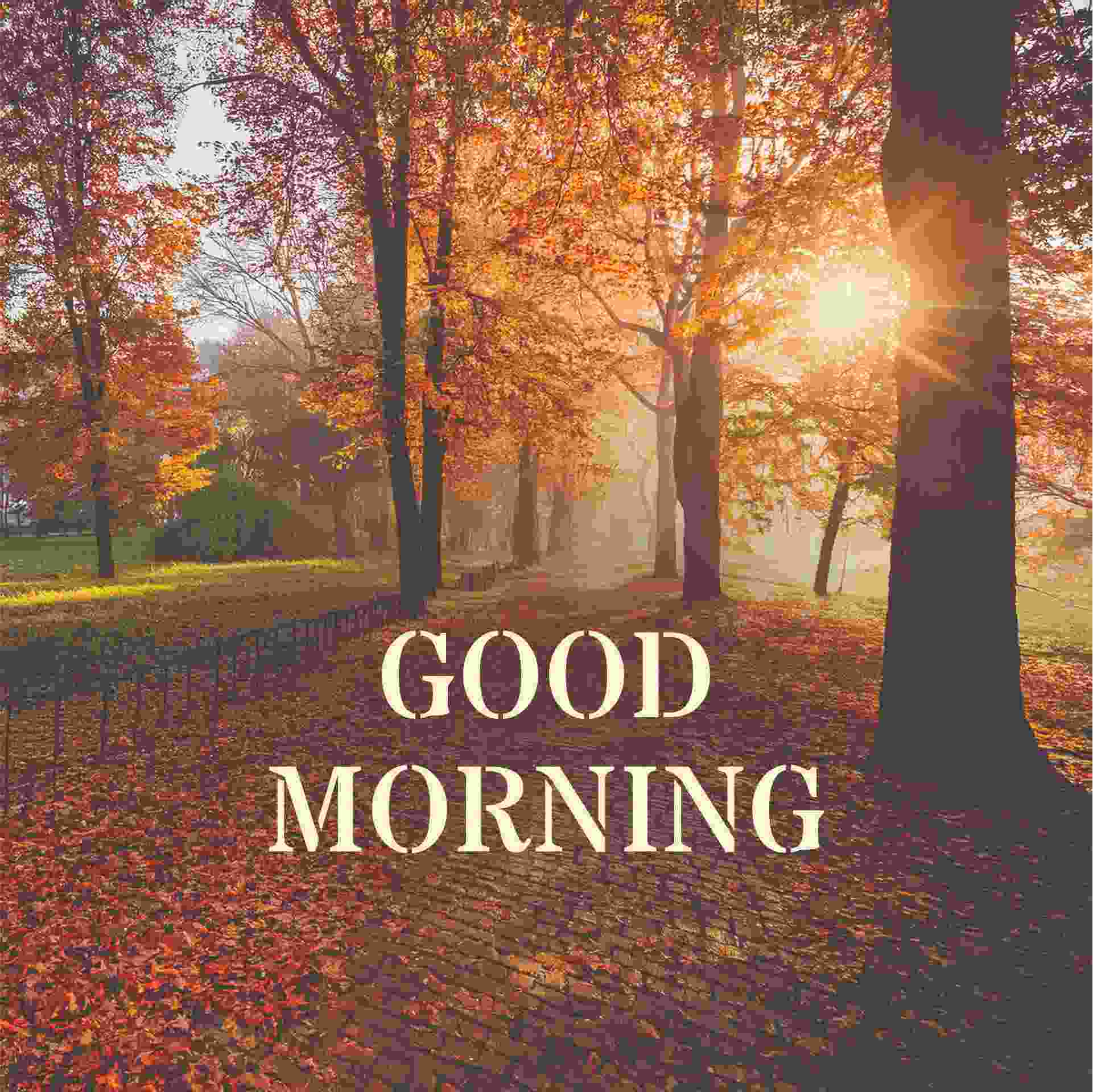 Good Morning Pictures Photo Infoupdate