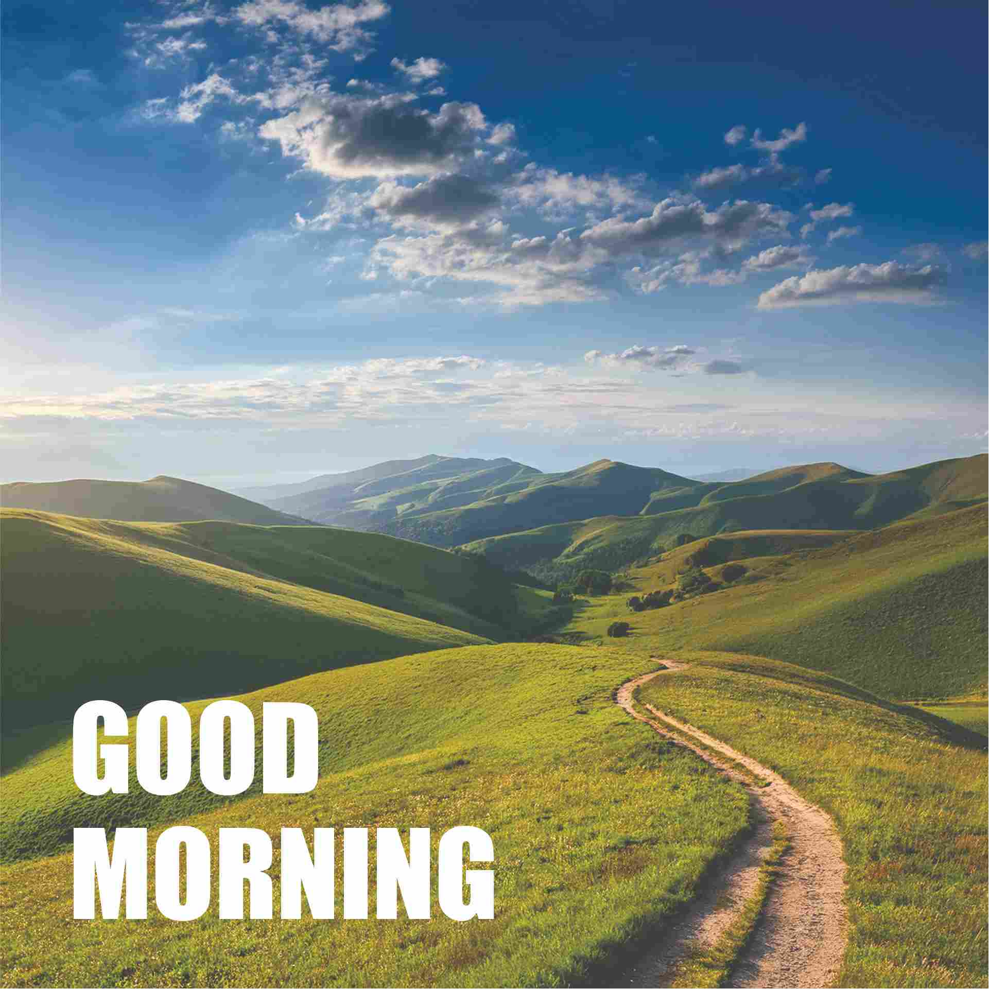 Good Morning Wallpaper Photo Gallery Free Infoupdate